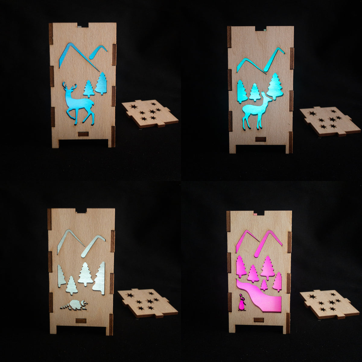 Luminarium Designs | Nature Lantern